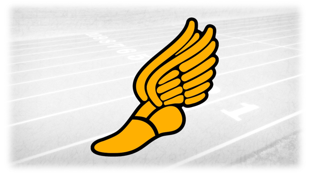 Cross Country Foot With Wings