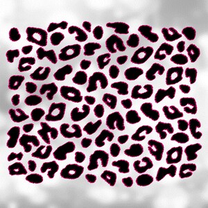 Pink Cheetah Print Border