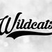 Sports Clipart: Bold Black wildcats Team Name in Fancy Type Lettering ...