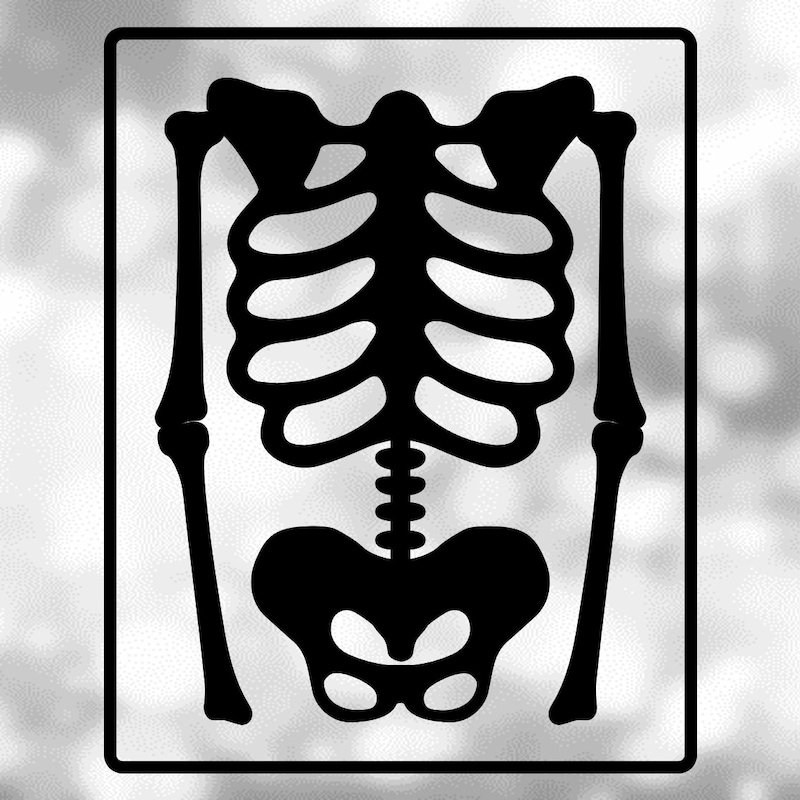 Skeleton Torso Svg - Etsy