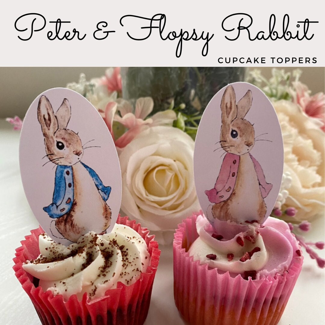 Party Supplies Peter Boy or Girl Birthday Pack of 12 Peter Rabbit ...