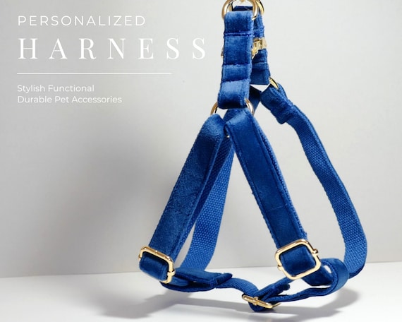 Blue Dog Harness Step in Style Dog Harness ID Personalized | Etsy