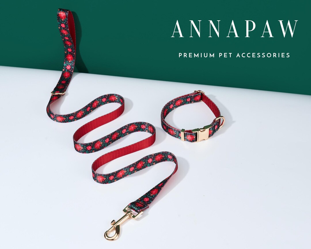 Personalized Puppy Collar Leash With Name Tag Gift for Her,handmade ...