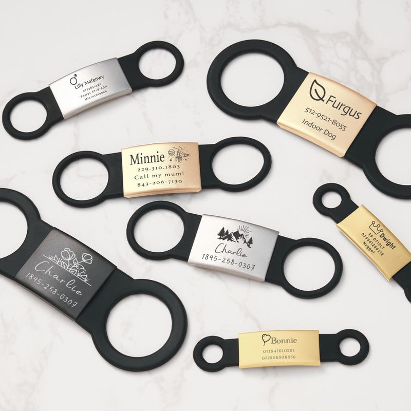 Slide on Dog Name Plate - Etsy UK