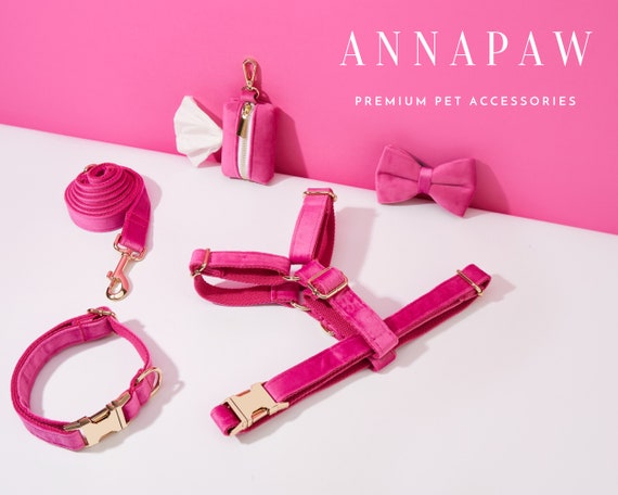 Bow tie leash store