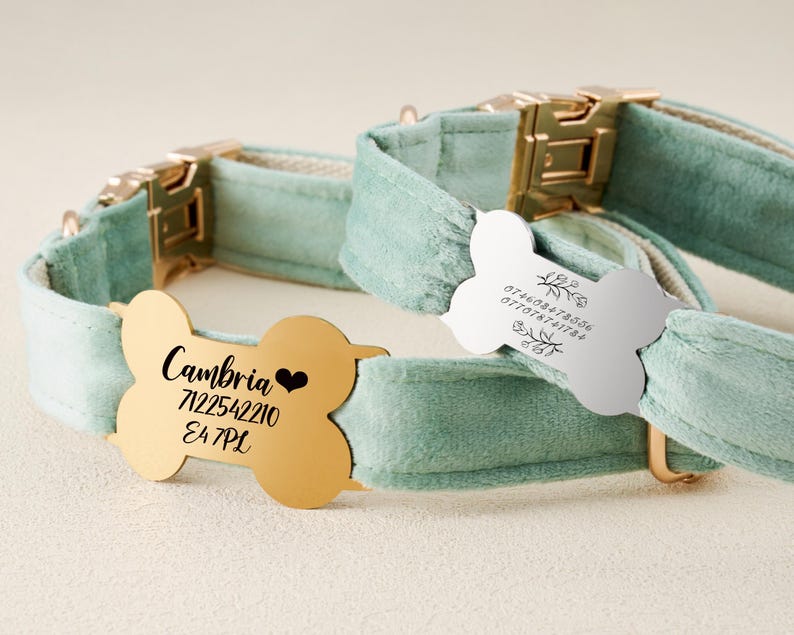 Personalized Name Tag in Bone Shape for Dog Collar and Cat Collar ...