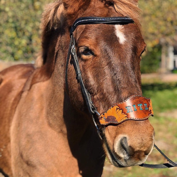 Horse Custom Nose Band - Etsy