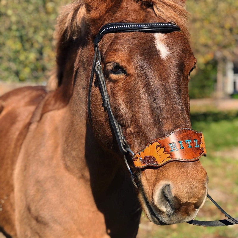 Tooled Leather Noseband - Etsy