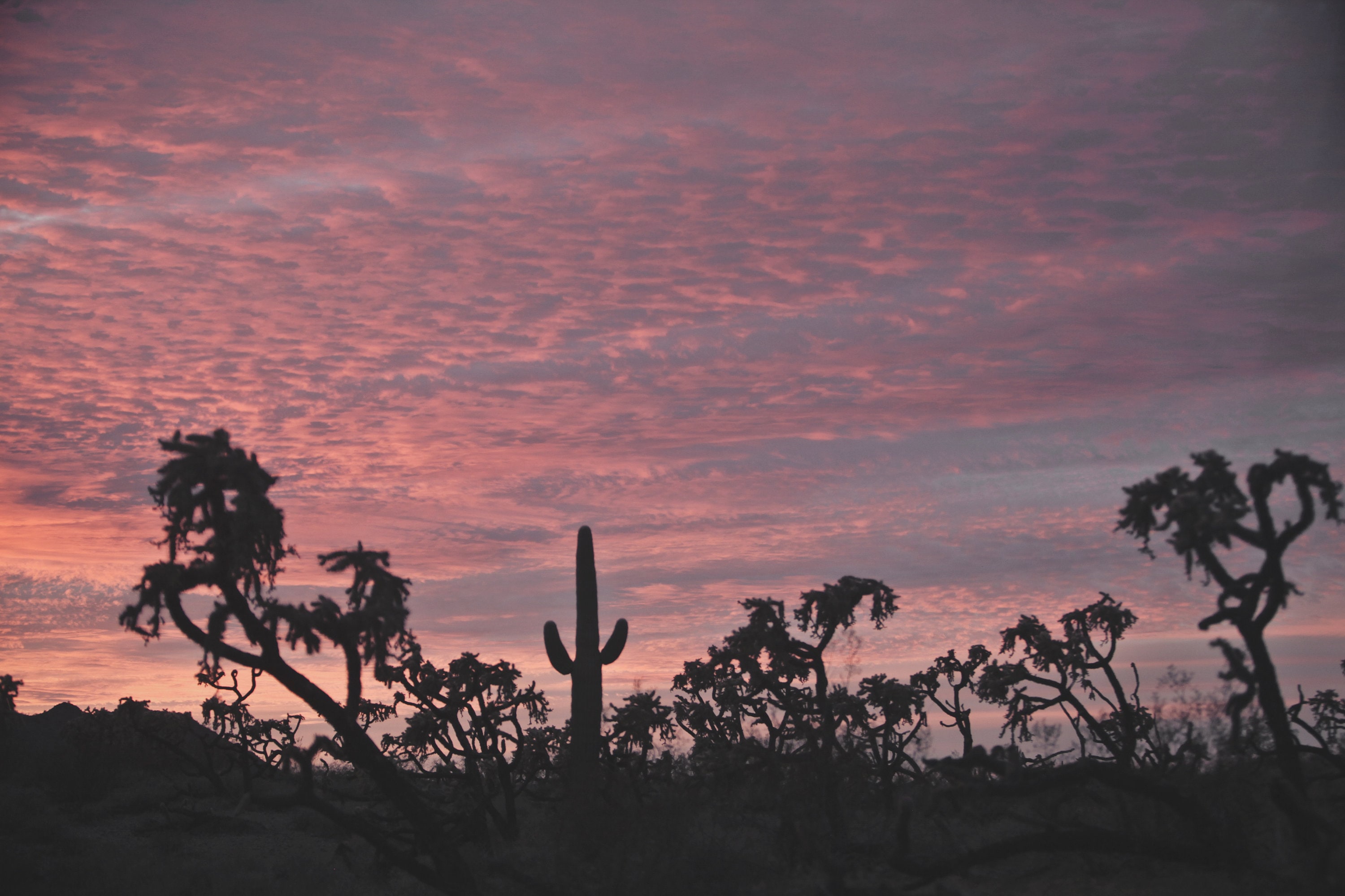 Pastel Pink and Blue Arizona Sunset for Fine Art Gallery Wall , Home ...