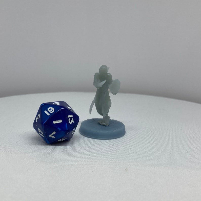 Bard Half- Elf Nanris Tambourine, - 3D Printed Resin for Tabletop Rpgs ...