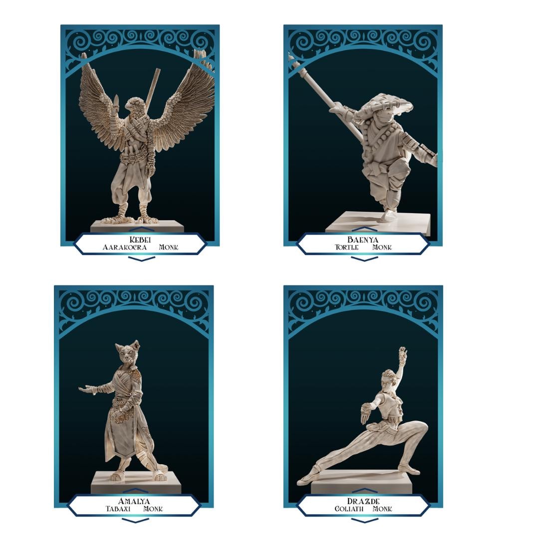 Monk, Women, 4 Races: Aarakocra, Goliath, Tabaxi, Tortle - 3D Resin ...