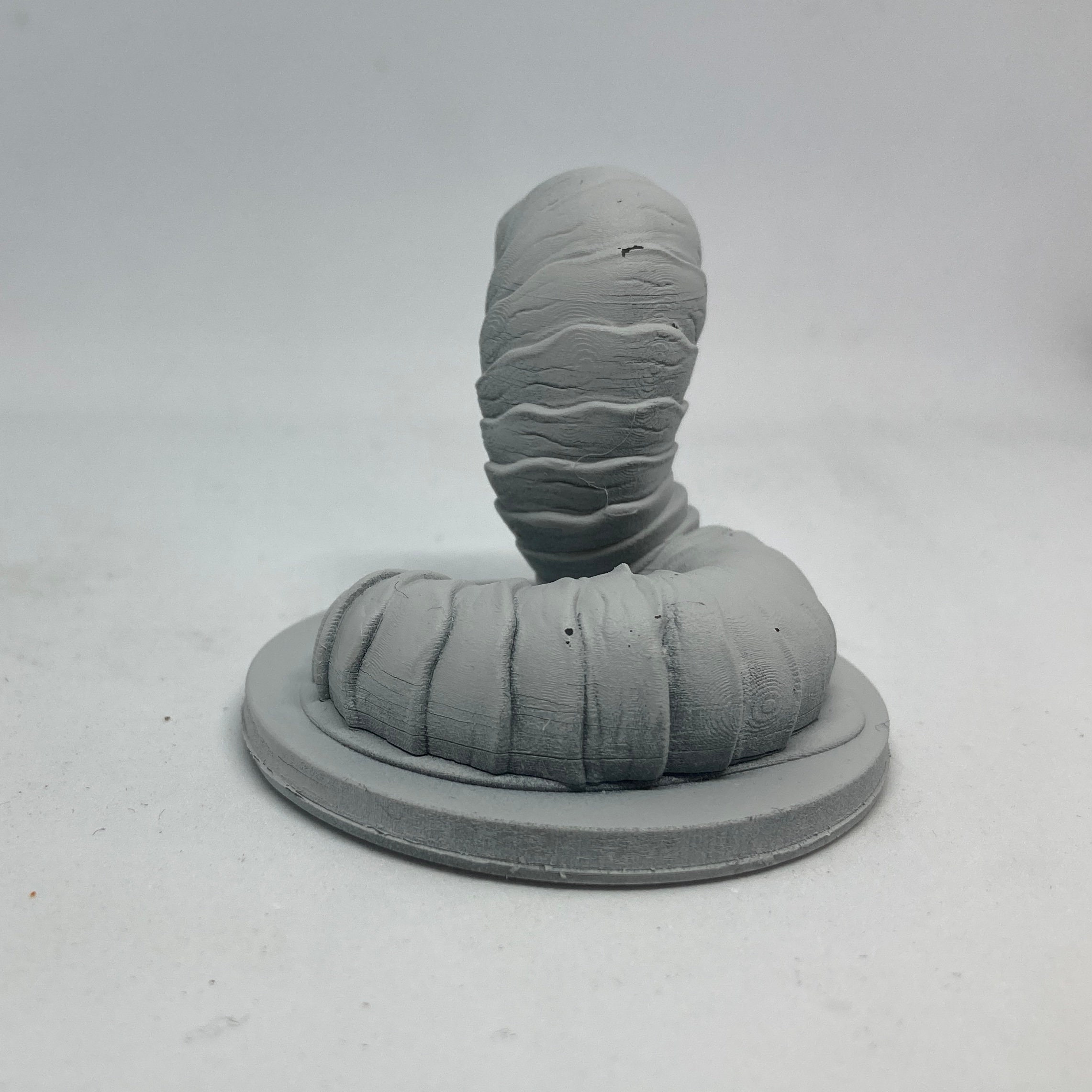 Giant Leech 3D Printed Resin Miniature - Etsy