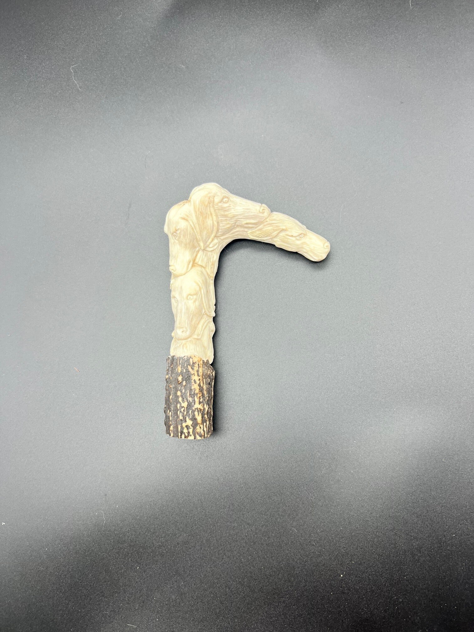 Carved Moose Antler Cane or Walking Stick Top, Knife Handle Dogs - Etsy