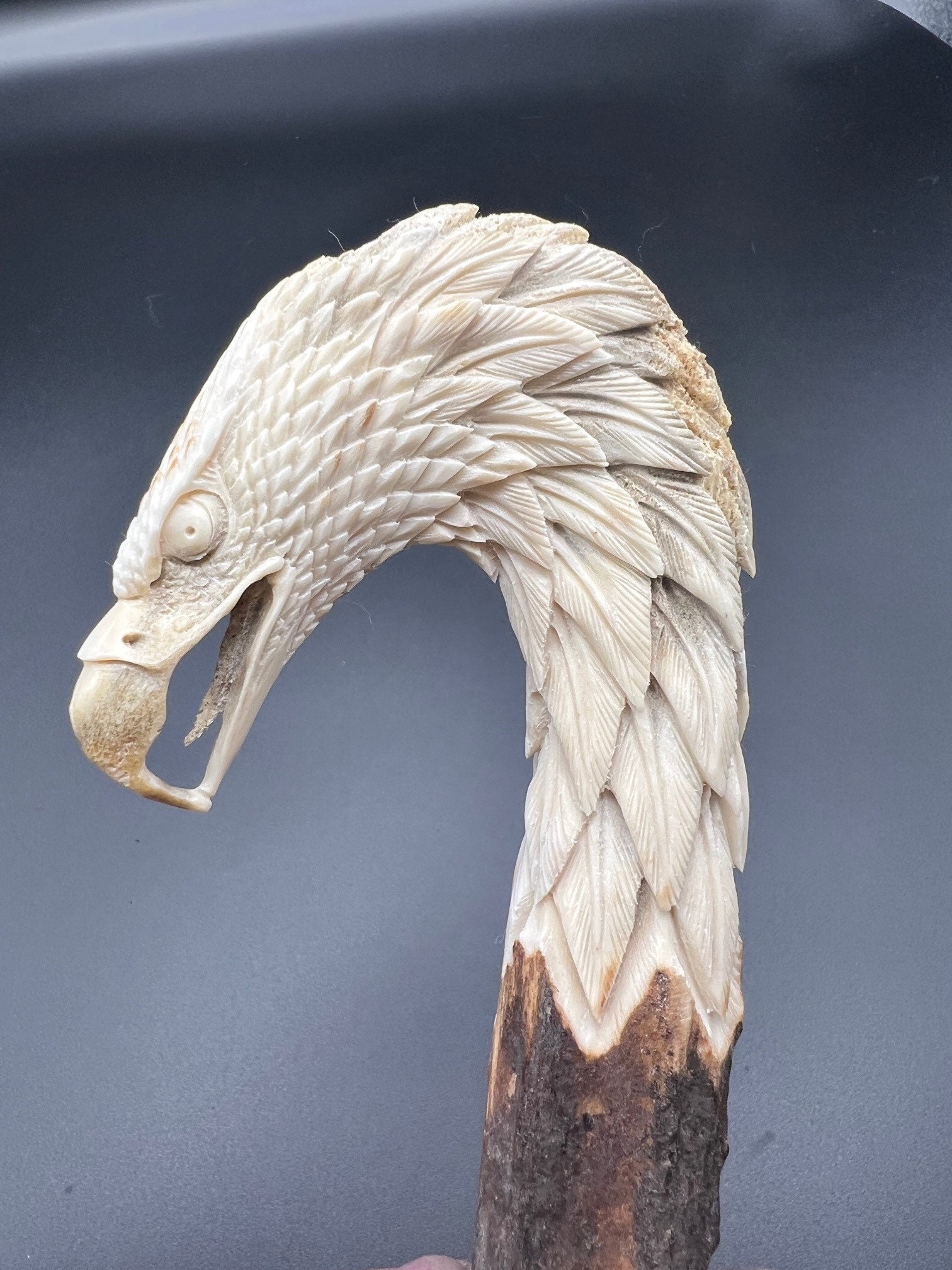 Beautifully Carved Moose Antler Eagle Cane or Walking Stick - Etsy