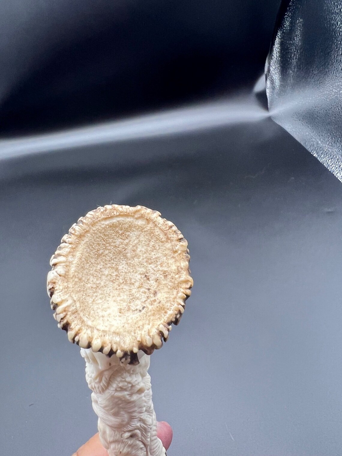 Moose Antler Carving for Walking Stick or Cane Top, or Knife Handle ...