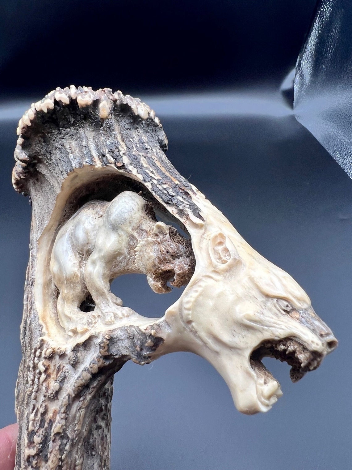 Carved Moose Big Cat Walking Stick Top, Cane Top, Knife Handle - Etsy