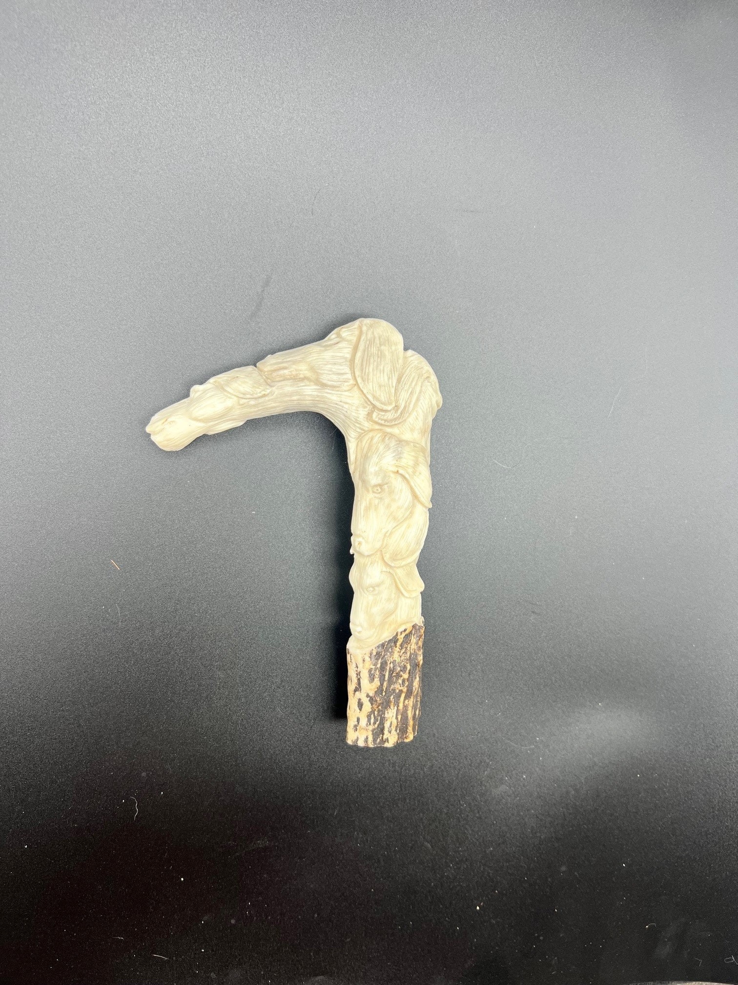 Carved Moose Antler Cane or Walking Stick Top, Knife Handle Dogs - Etsy