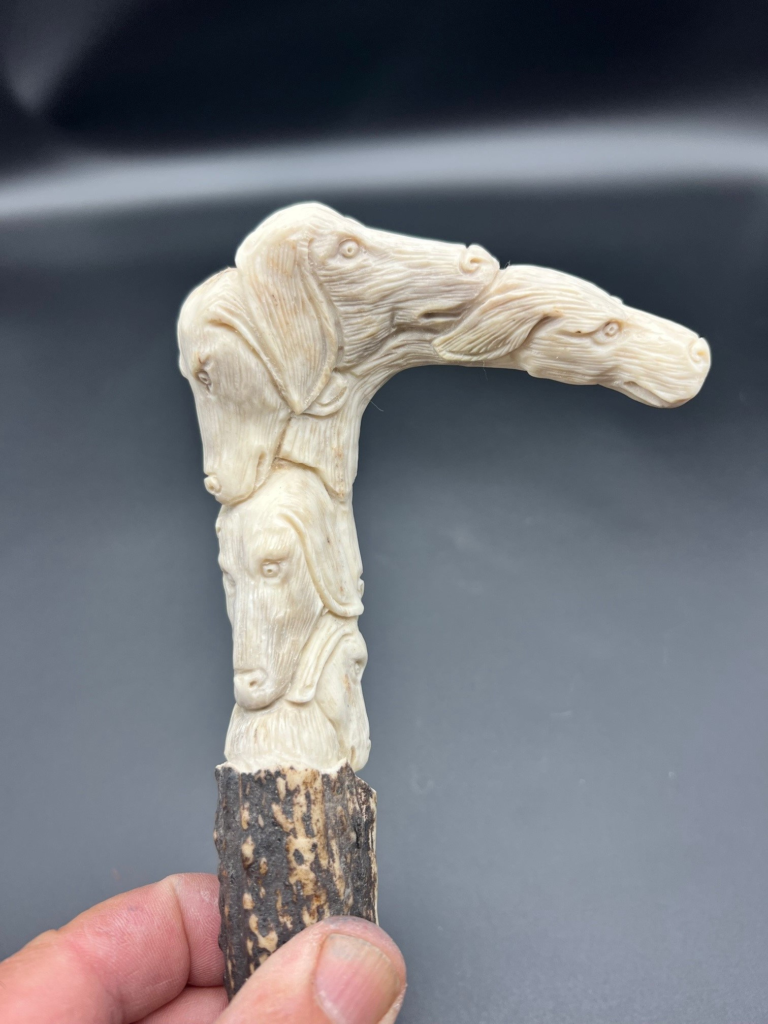 Carved Moose Antler Cane or Walking Stick Top, Knife Handle Dogs - Etsy