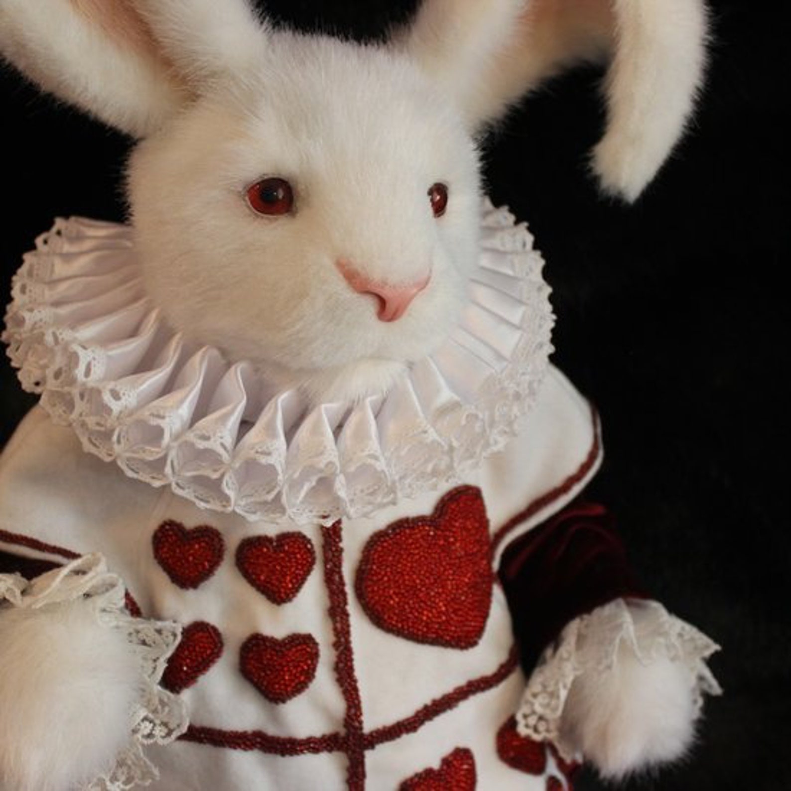 White Rabbit Etsy