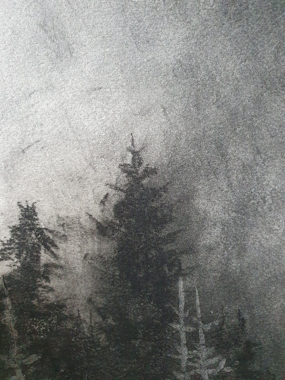 Art, Wall Decor, Charcoal Drawing, Original, Nocturnal Landscape ...