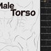Male Torso Base Pack for Procreate | Etsy