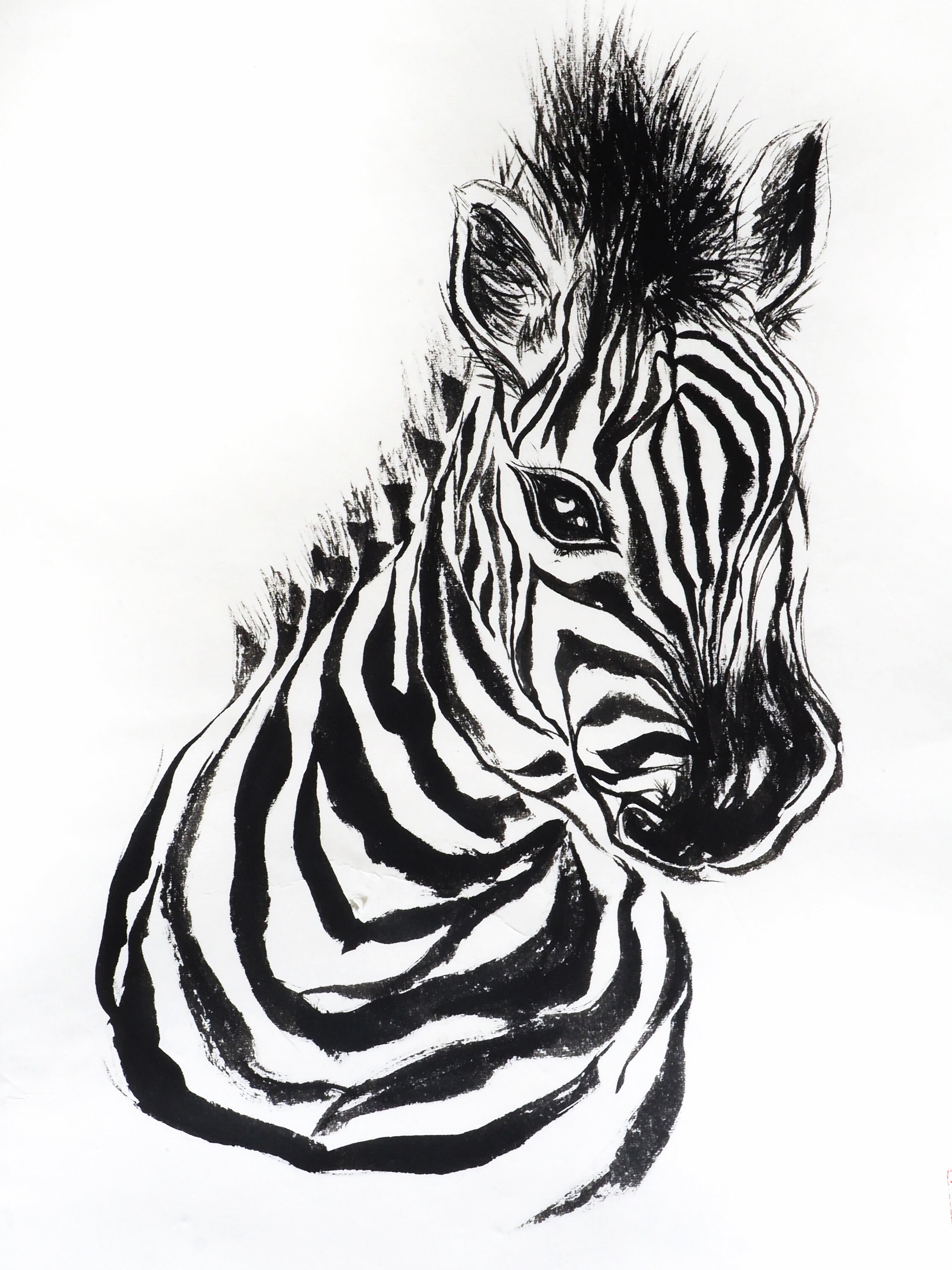 Impresión digital / Cebra original pintada en blanco y negro / - Etsy ...