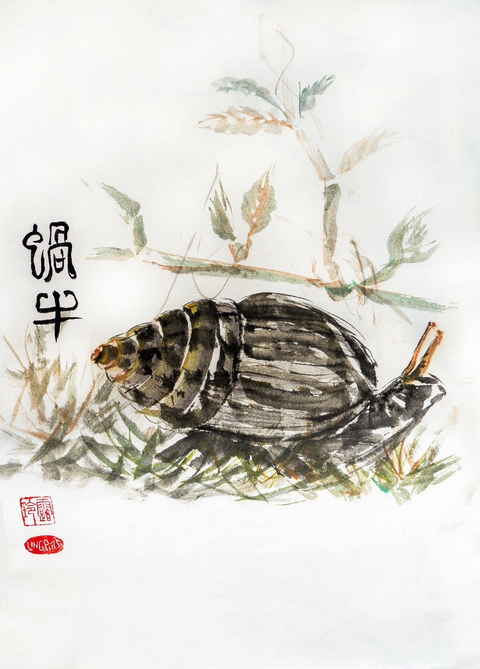 Digital Print | Original Painted Snail | Chinese Ink and Watercolour ...