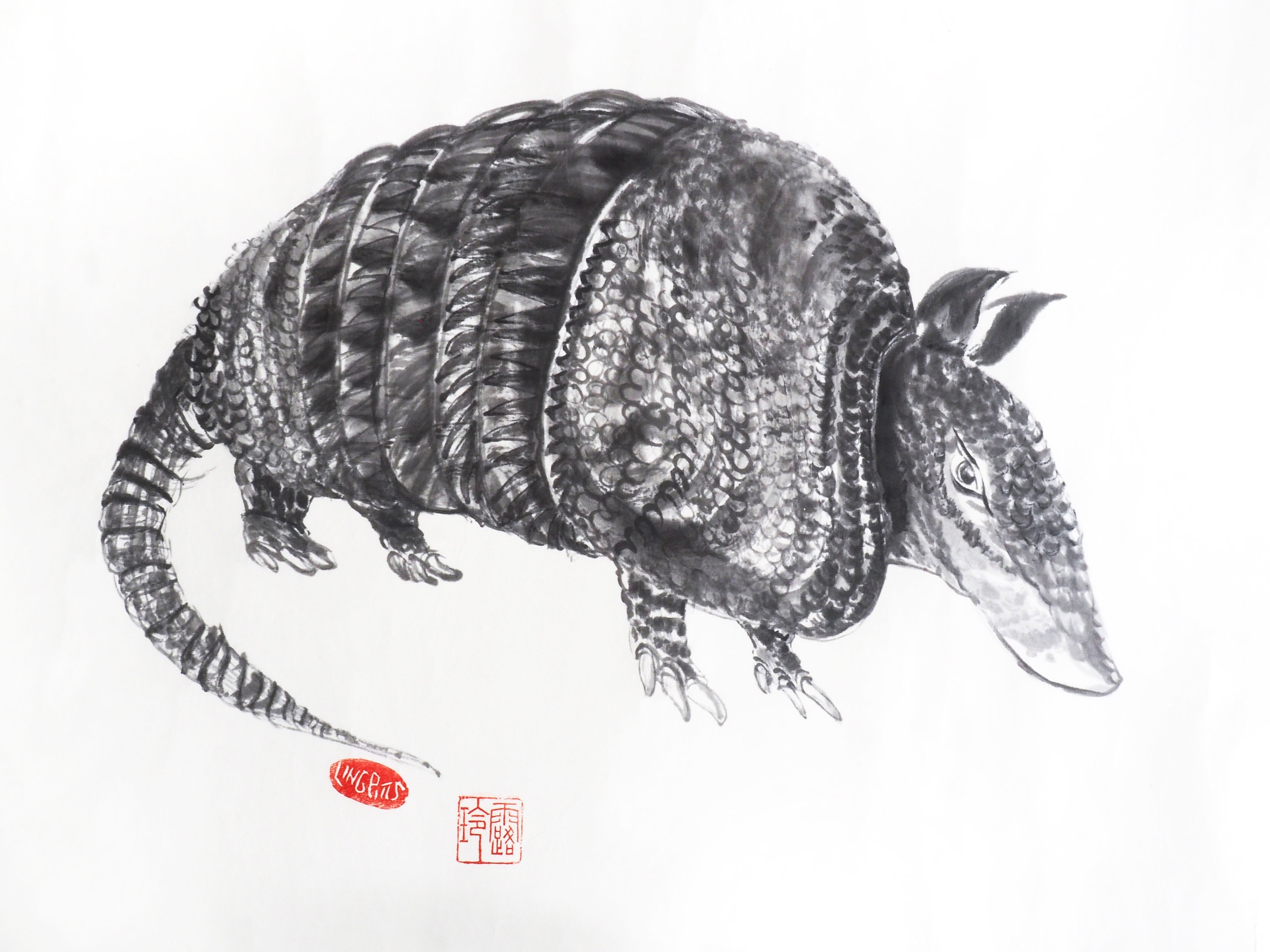 Digital Print | Original Painted Black & White Armadillo | Armored ...