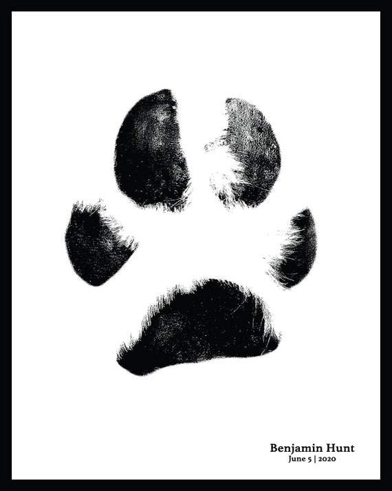 Real Cat Paw