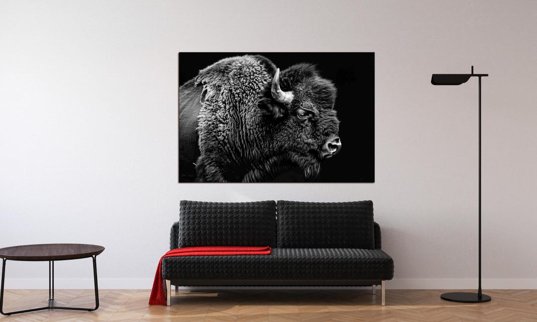Bison Wall Art Black and White Buffalo Print Modern Farmhouse Decor ...