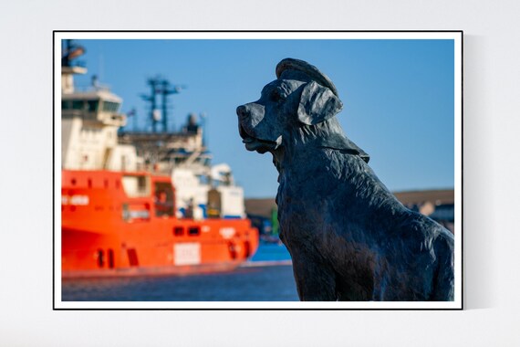 Bamse Dog