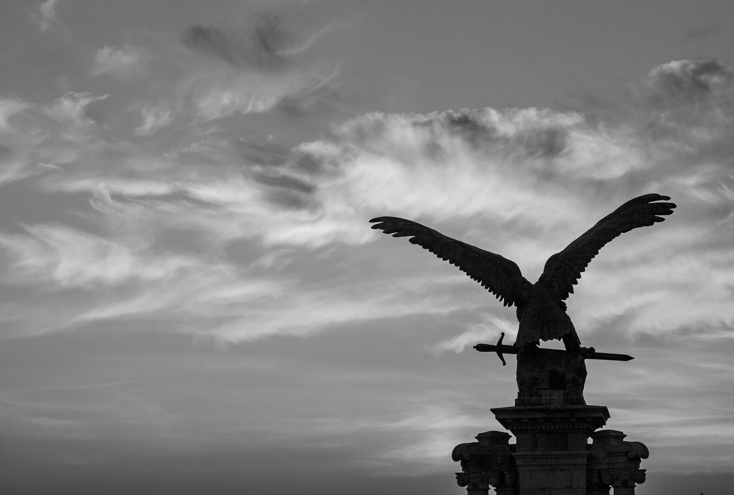 Budapest Hungary Print Turul Statue Urban Photography Wall Art - Etsy