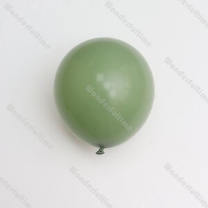 185pcs Matte Lemon Dusty Green Balloon Garland Arch Kit Kids 1st ...