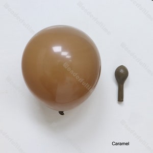 Doubled Stuffed Balloons Garland Boho Balloon Arch Kit Baby Shower ...