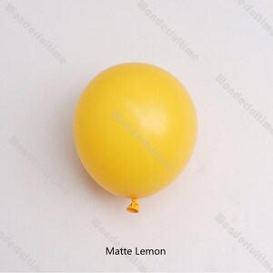 185pcs Matte Lemon Dusty Green Balloon Garland Arch Kit Kids 1st ...
