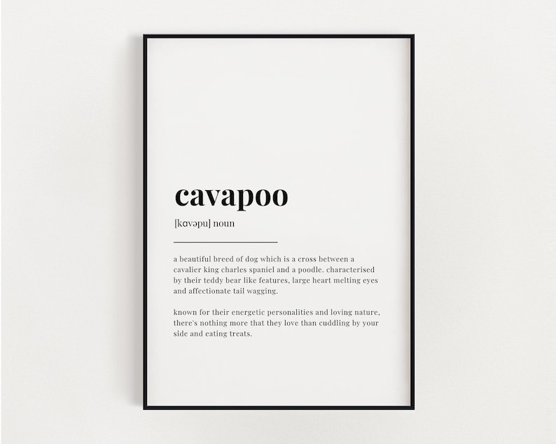 CAVAPOO DEFINITION MEANING | Printable Wall Art | Digital Download ...