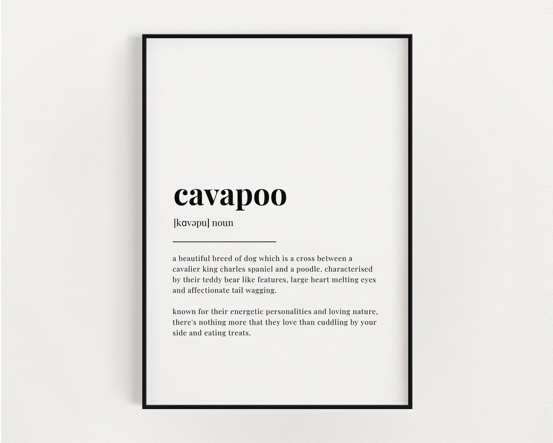 CAVAPOO DEFINITION PRINT, Wall Art Print, Definition Print, Quote Wall ...