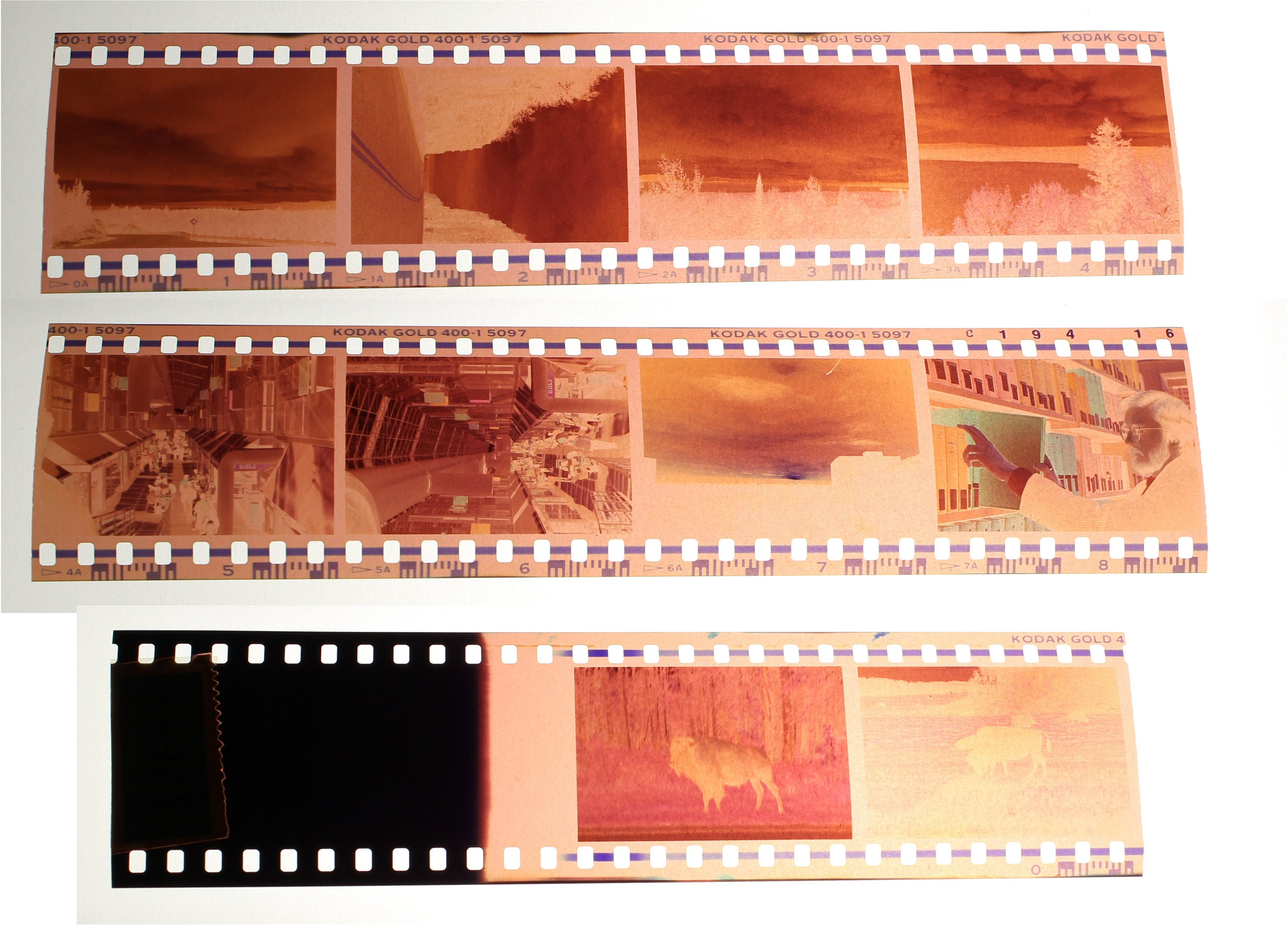 Photo Film Negative Strips Vintage 1980s & '90s Mostly - Etsy