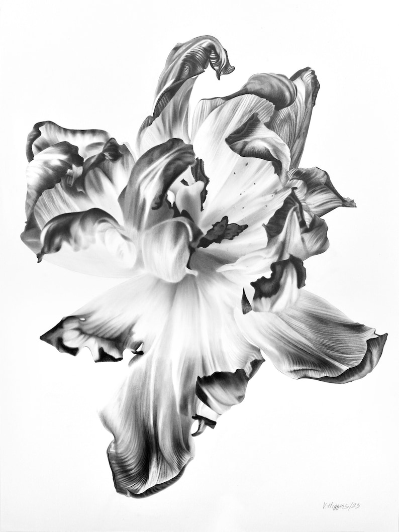 Original Drawing. Flowers Drawing. Photorealistic Pencil Drawing ...