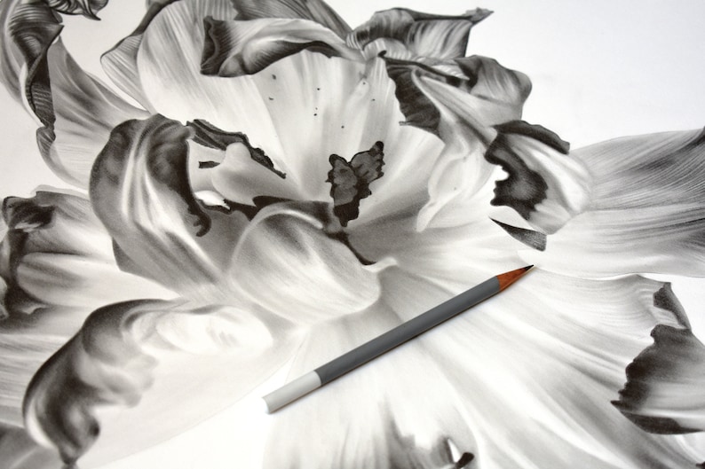 Original Drawing. Flowers Drawing. Photorealistic Pencil Drawing ...