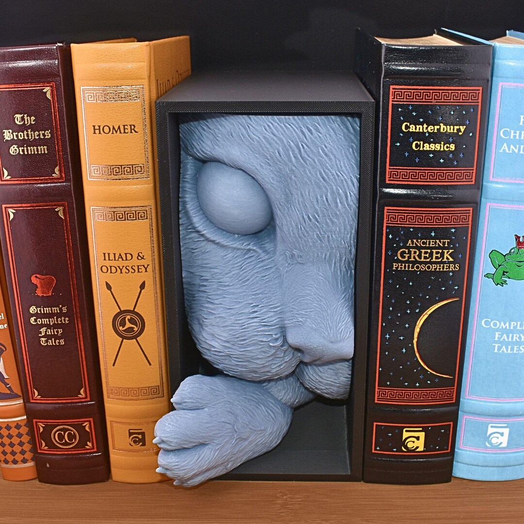 Cat Book Nook Bookshelf or Library Decor for Bookish Cat Lover Gift for ...