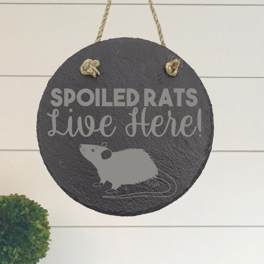 Spoiled Rats Live Here Wall Decor is a Great Gift for a Rat - Etsy