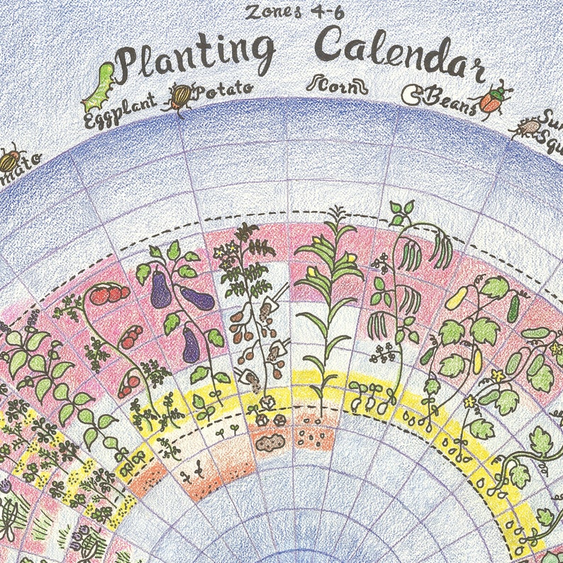 Garden Planting Calendar | Etsy
