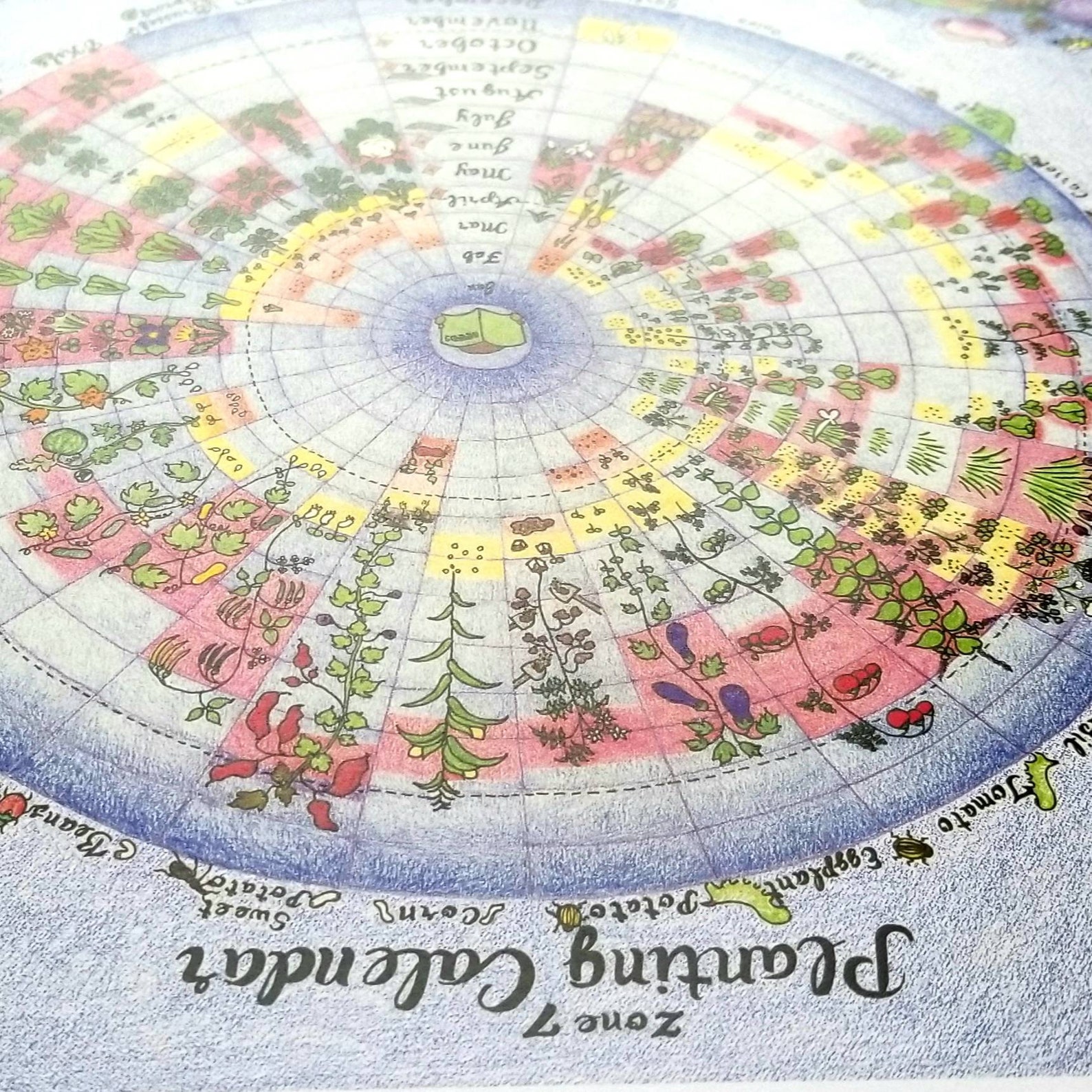 Garden Planting Calendar | Etsy