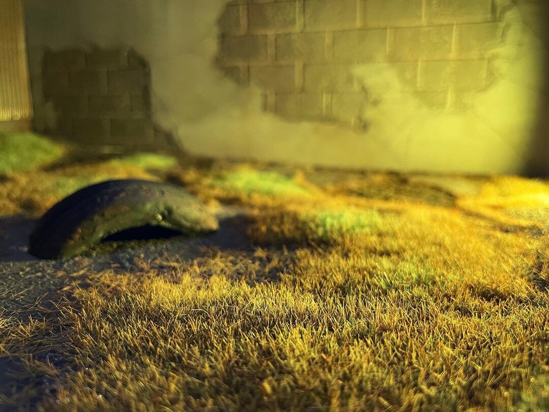 1:12 Post Apocalypse Diorama - Etsy