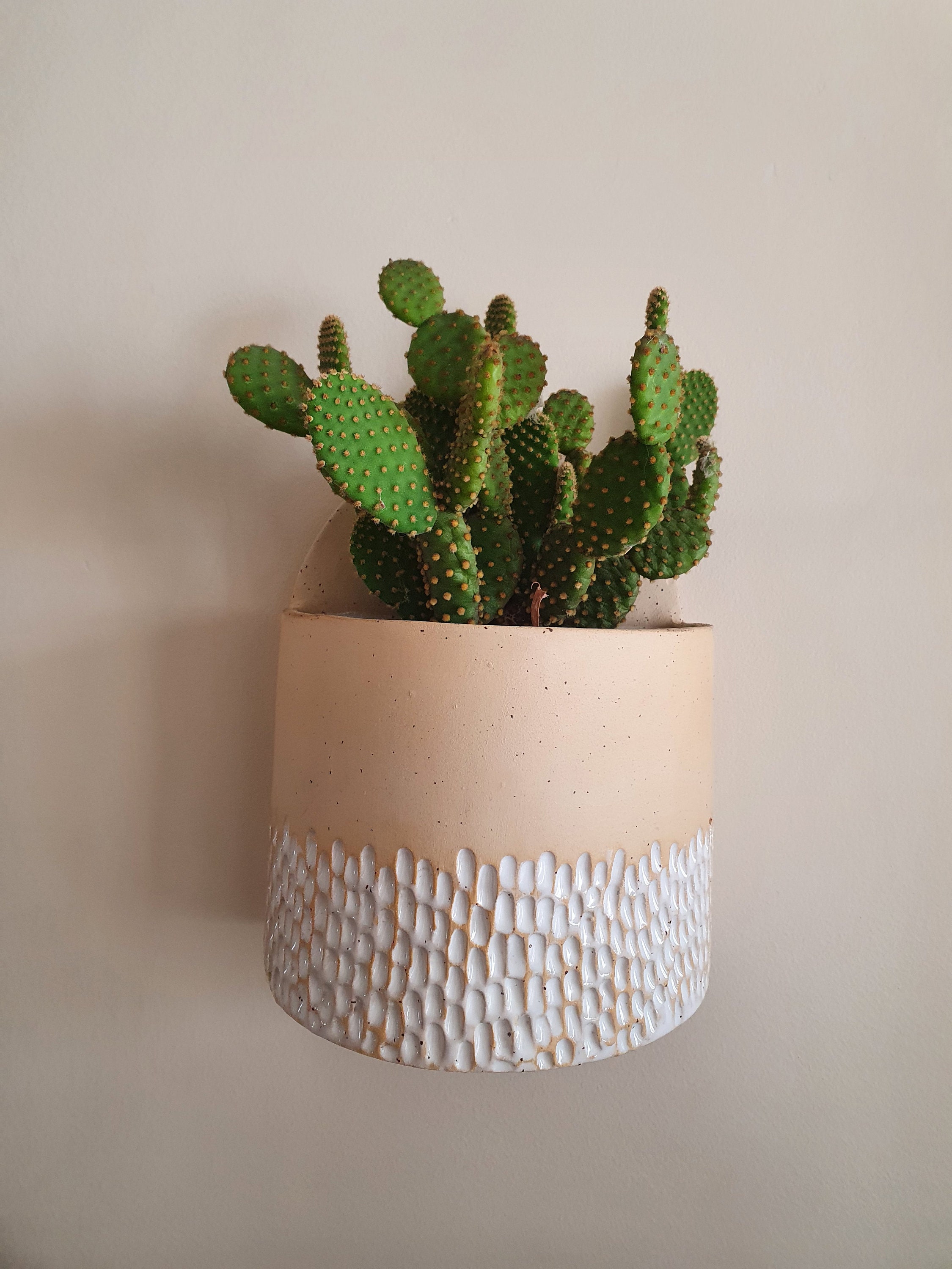 Stoneware Big Wall Planter / Back to the Basic Collection / Wall Vase ...