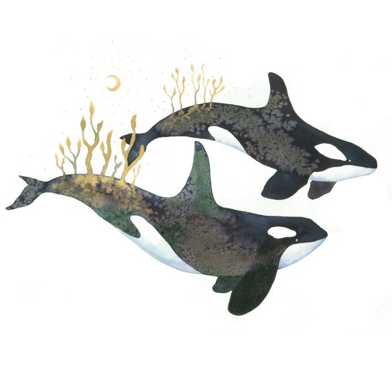 Orca Whale Watercolor Painting Printable Digital Whale - Etsy