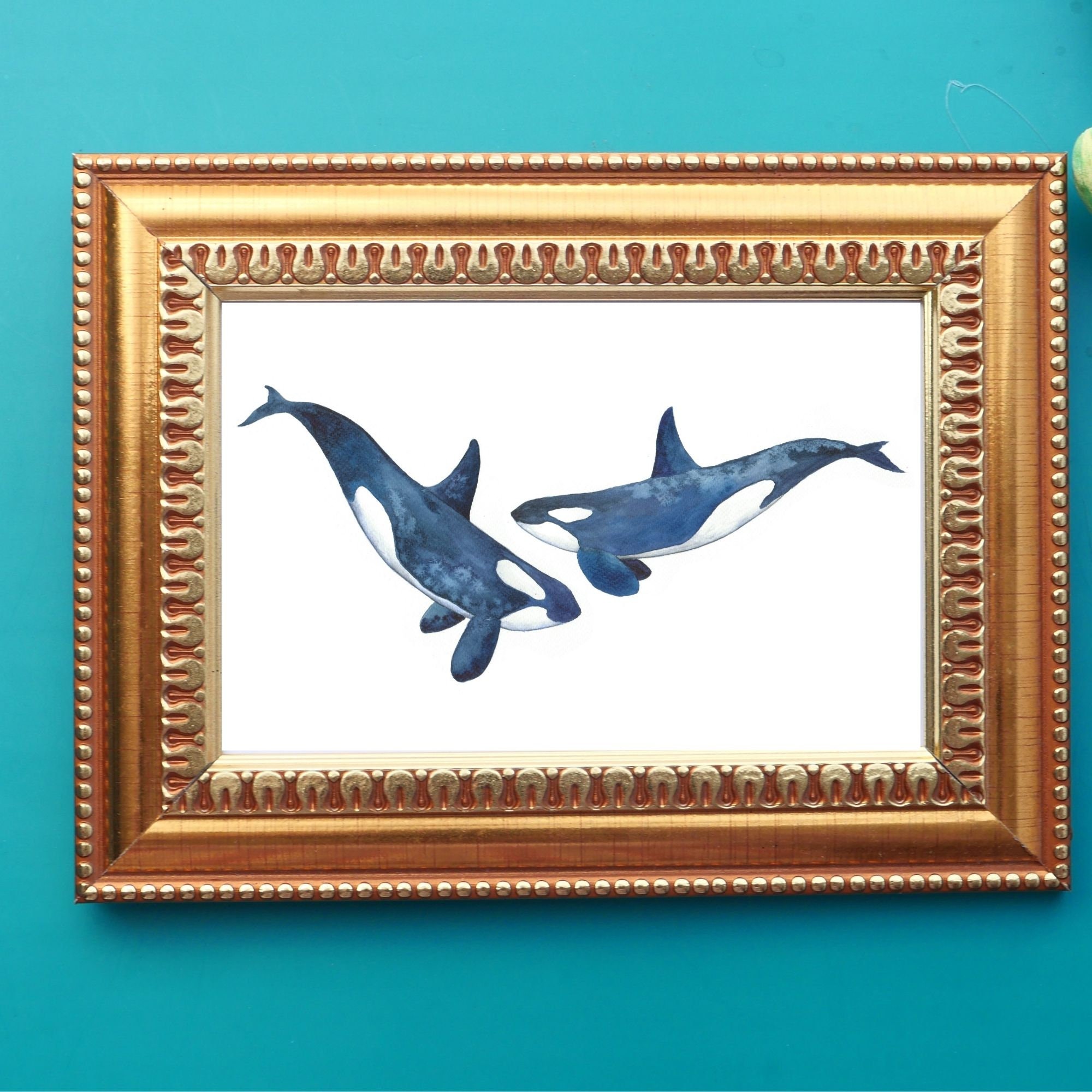 Orca Couple Killer Whale Watercolor Illustration Instant Digital ...