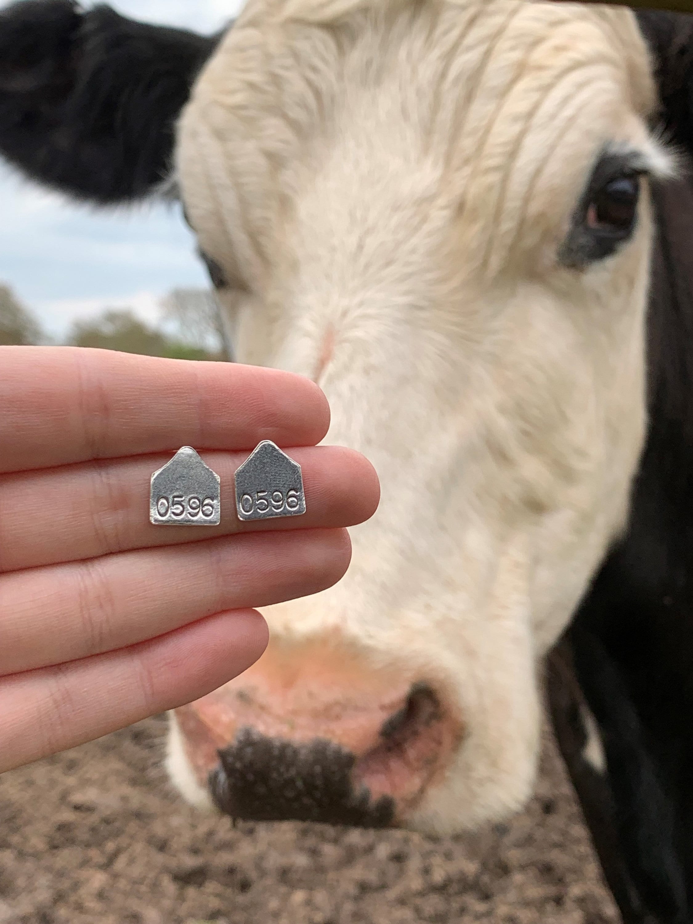 Custom Cow Ear Tag Necklace Sterling Silver Jewellery Gift Farm Cattle ...