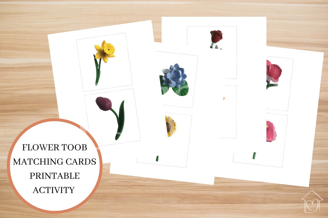 Flower TOOB Matching Cards, Montessori Inspired, Print at Home, Toddler ...